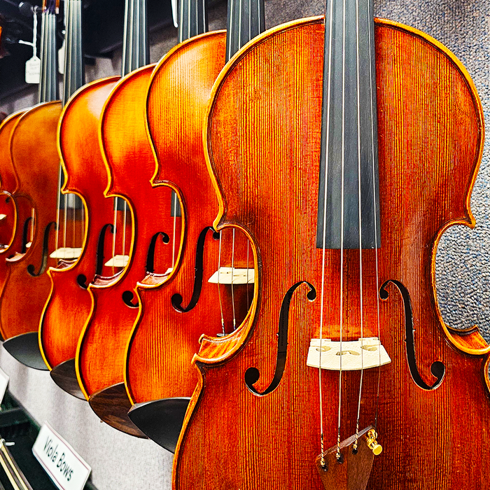 Orchestral String Instrument Services